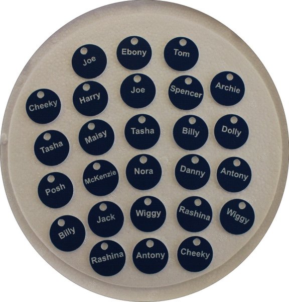 engraved names.jpg (Image #53 of 311)